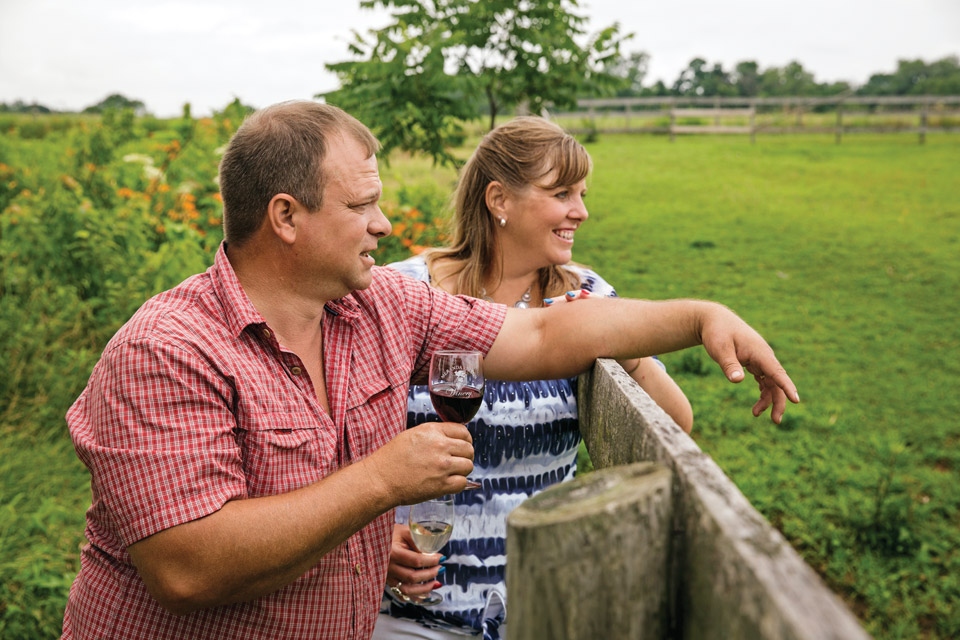 3 Relaxing Wineries with Great Views