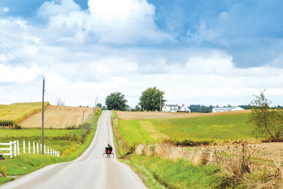 Ohio Amish Country | Travel | Ohio Magazine