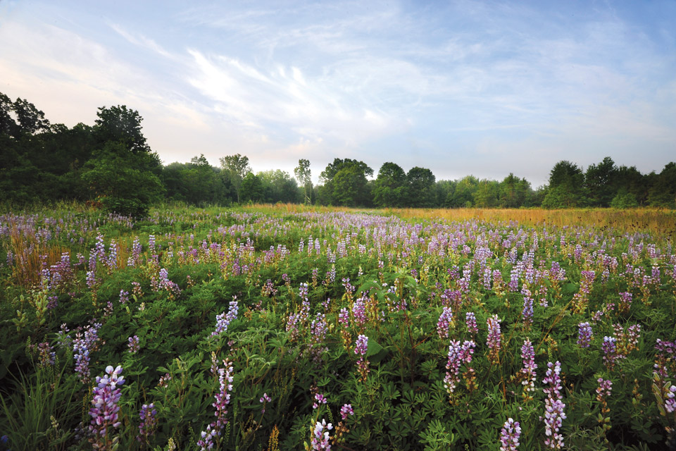 Visit 7 Ohio Nature Preserves
