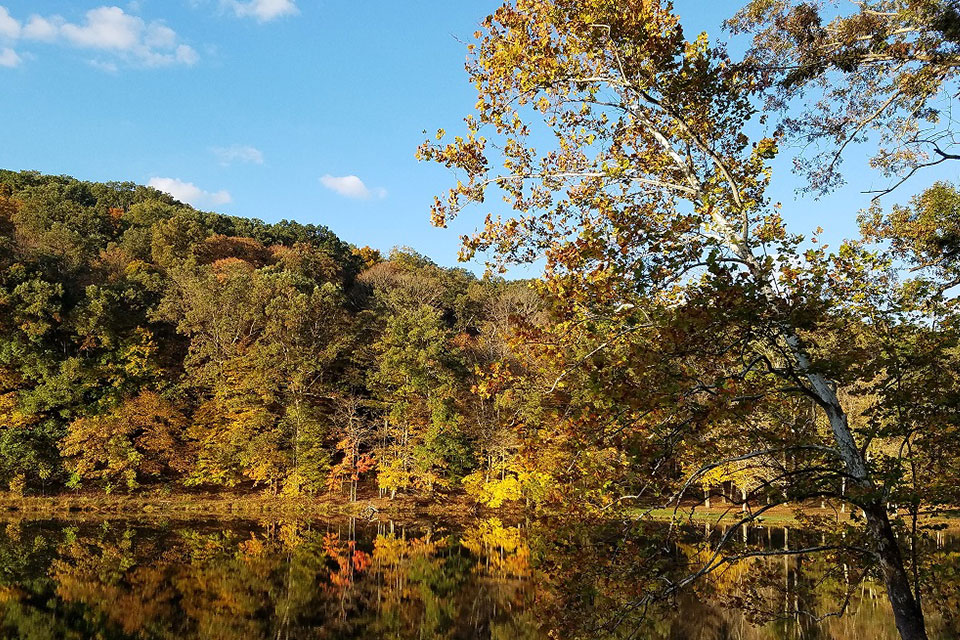 When Will Fall Color Peak in Ohio?